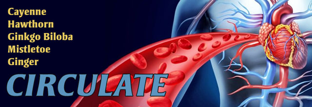 Natural Remedies - Circulate Formula